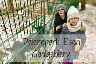 Déierepark Esch Gaalgebierg - Fun & Free animal park in the South of ...