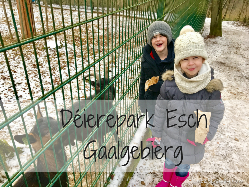 Déierepark Esch Gaalgebierg - Fun & Free animal park in the South of ...